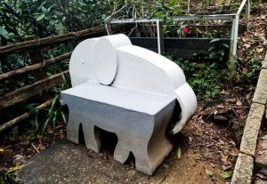 Completing the Taipei Elephant Mountain hike in Taiwan