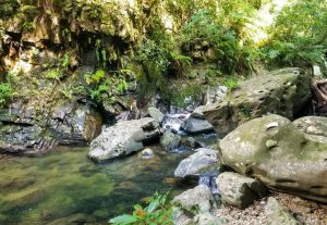 Hiji Falls on Okinawa Island & hiking the tropical forest path