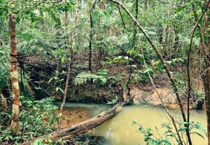 Hira Falls - Hiking trail to a waterfall in Okinawa