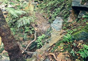 Hira Falls - Hiking trail to a waterfall in Okinawa