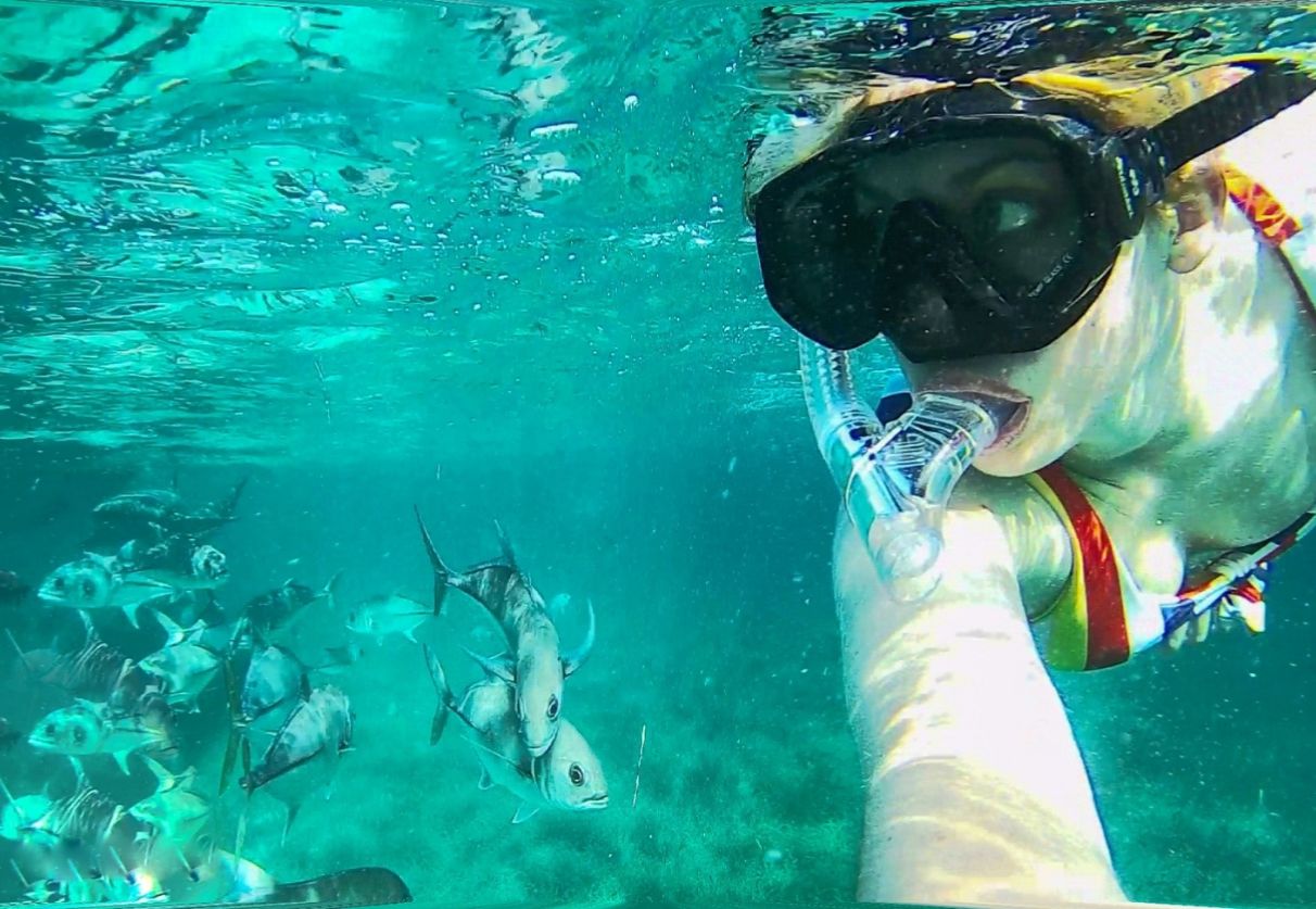 Shark and Ray Alley, Belize - A Bucket List Snorkel Spot